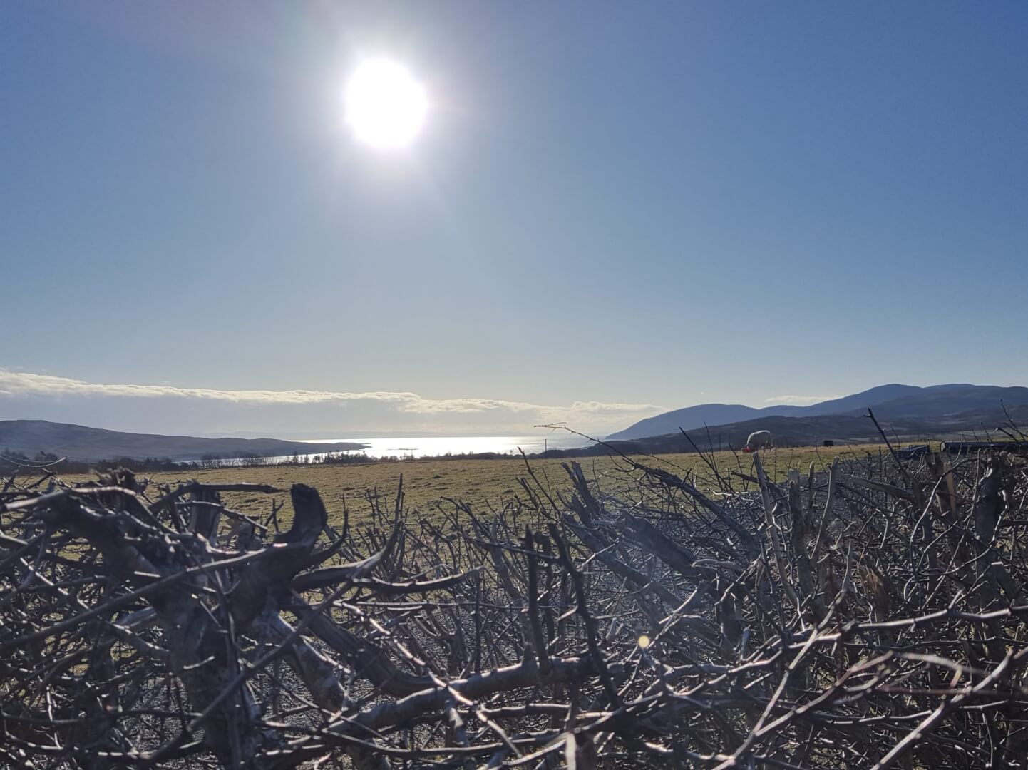 Welcome to Islay - Persabus