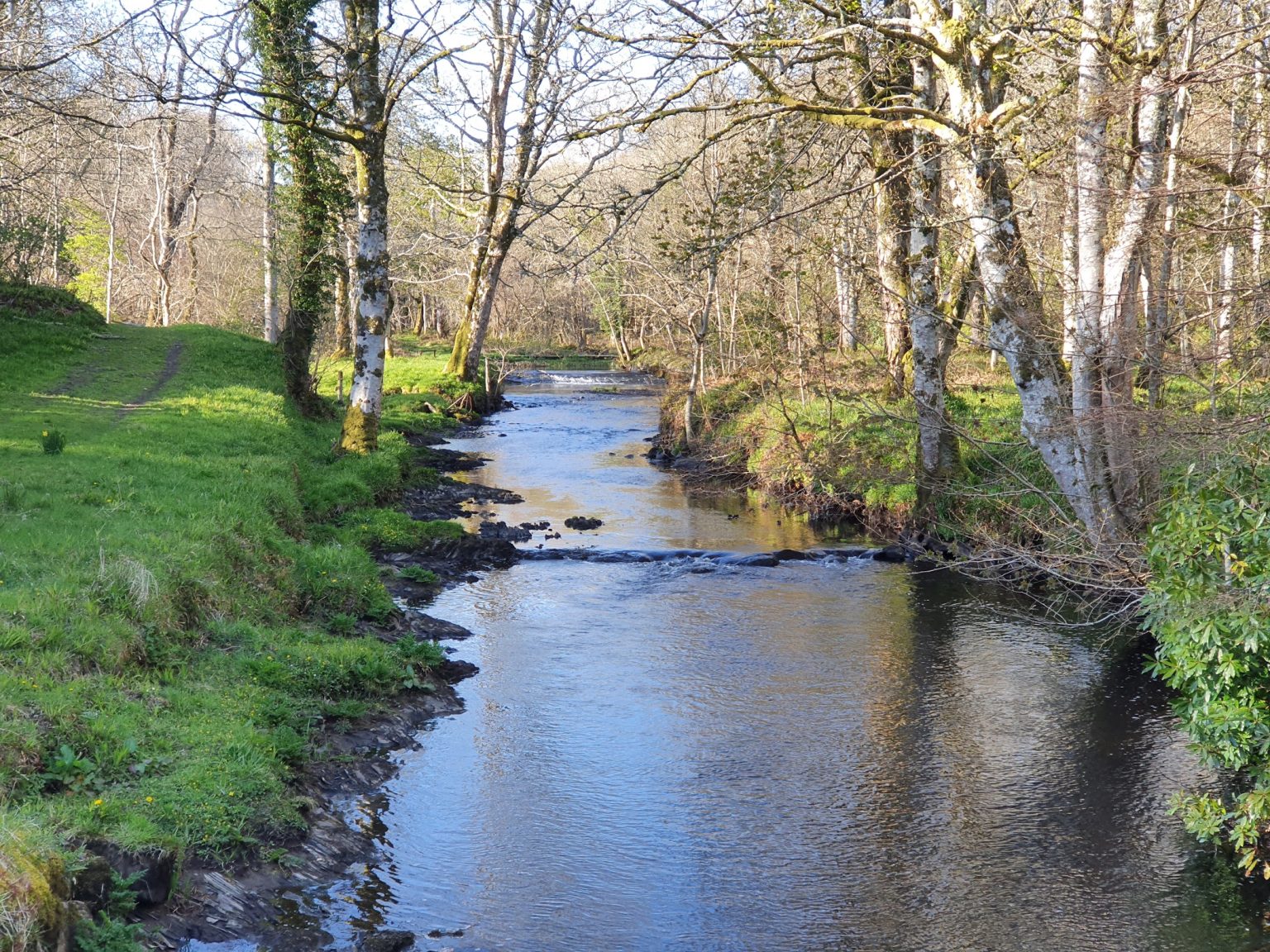 Islay Walks: Bridgend Woods - Persabus